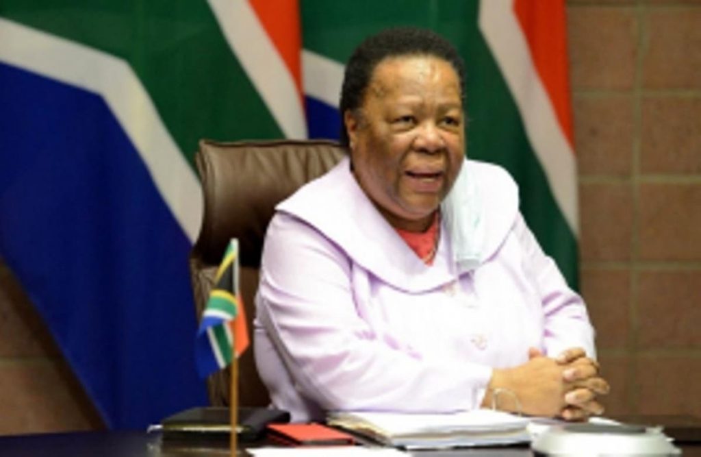 ANC Veteran Naledi Pandor Calls for Scrutiny of Party Leaders and ...