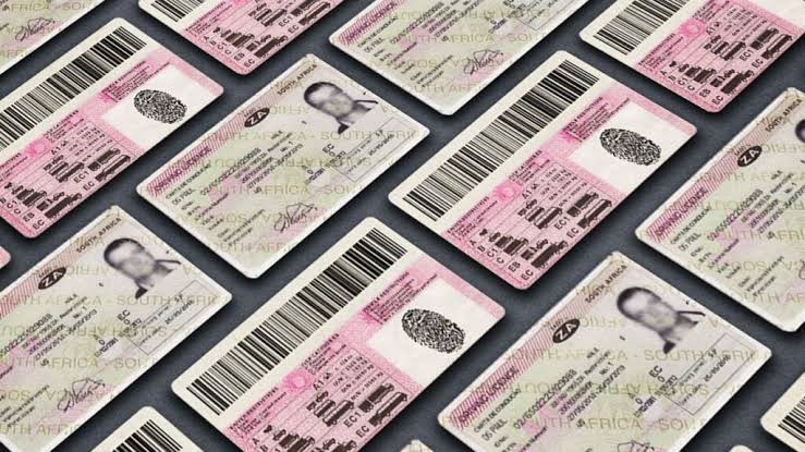 Department of Transport Expects Driver’s Licence Printer to Be ...