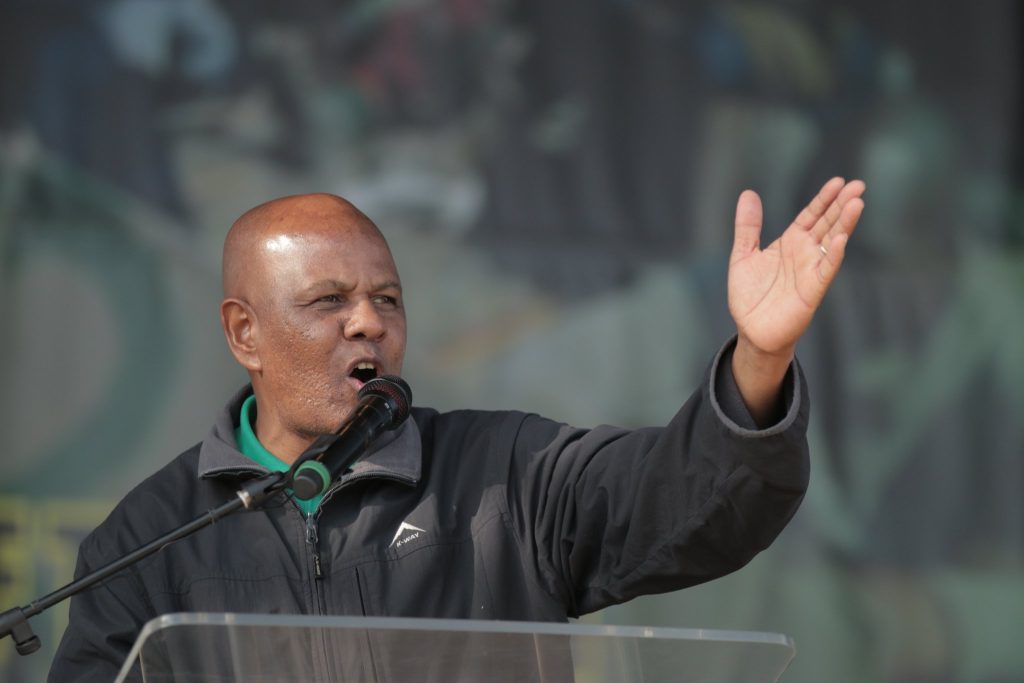 AMCU President Mathunjwa Calls for White President in South Africa at ...