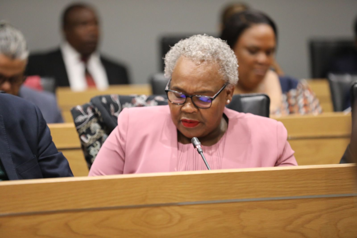 Social Development Minister Tolashe Reports 81% Progress on Audit ...