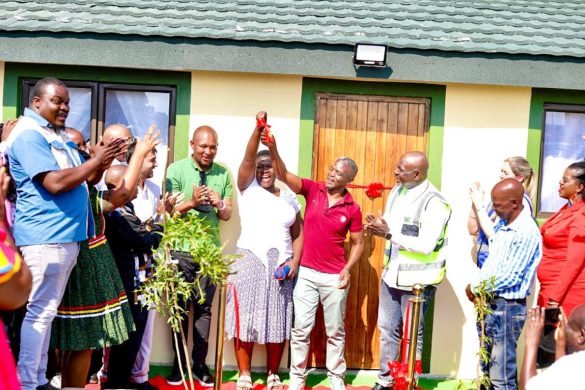 Basic Education Minister Siviwe Gwarube Tables R35 Billion Budget to ...