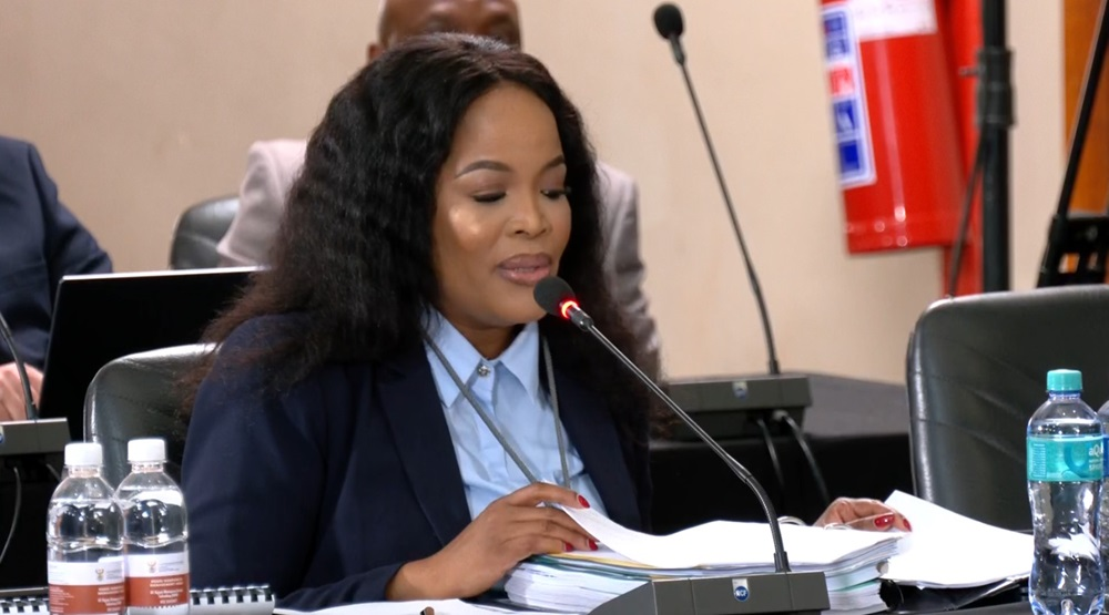 SAPS CFO Dimpane Denies Briefing Mchunu on PKTT, Shocked by Misuse of ...