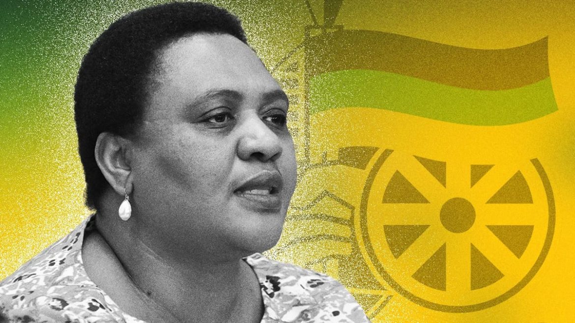 Thoko Didiza Throws Hat in the Ring for ANC Presidency: Bid Confirmed ...