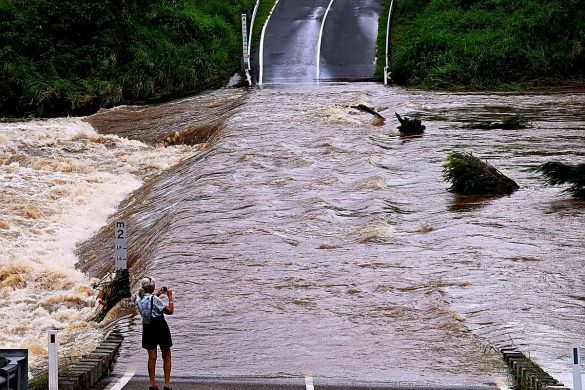 Operations at Grobler’s Bridge Border Post Remain Temporarily Closed ...