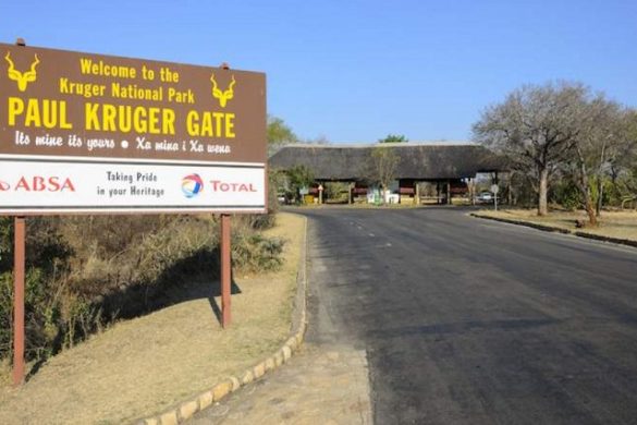 Operations at Grobler’s Bridge Border Post Remain Temporarily Closed ...
