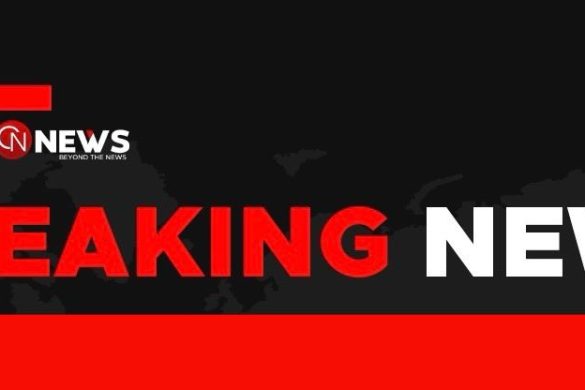 Dr. Corné Mulder Elected Uncontested as New Freedom Front Plus Leader ...